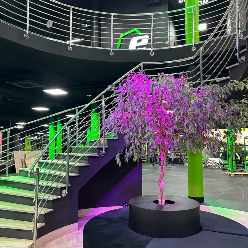 Endorfina Radom Multivo - Nowoczesna siłownia i fitness klub